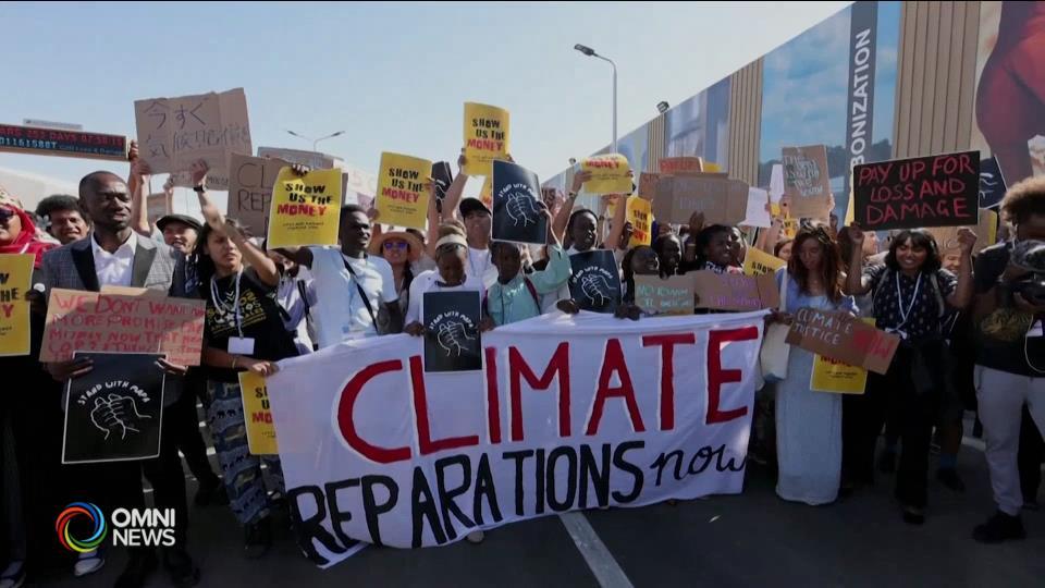 Pinay, kabilang sa mga nag protesta sa Egypt habang ginaganap ang ...
