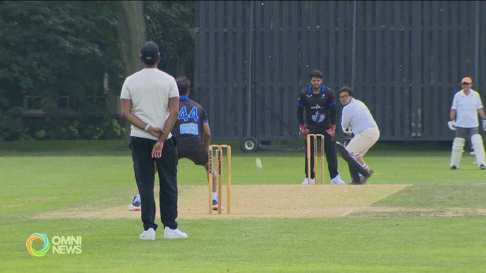 A friendly cricket match to support professionals with Autism - OMNI