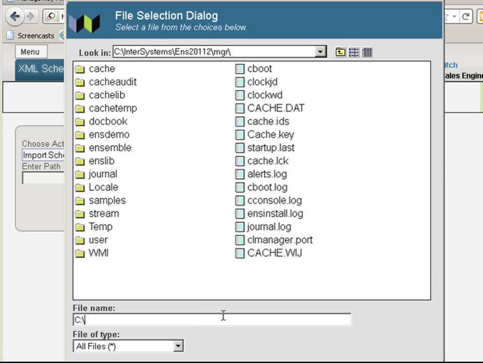 Ensemble XML Virtual Documents (VDOC) - InterSystems Video Portal